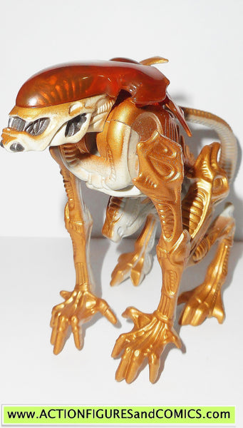 Aliens vs Predator kenner PANTHER ALIEN movie action figures ...